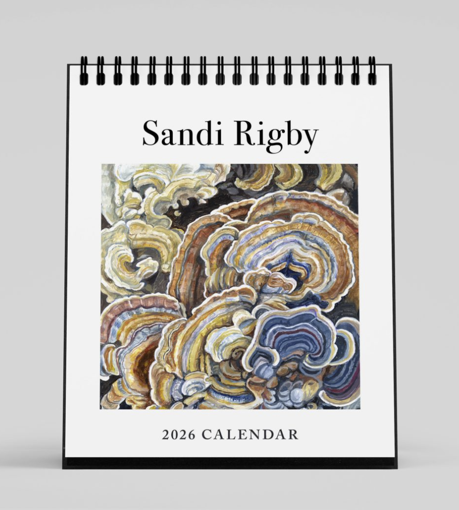 BIP 2026 Desk Calendar - Sandi Rigby – Paper Republic