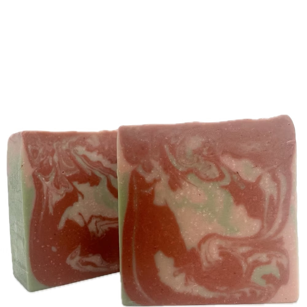 Sapon Soap - Lemongrass & Coconut – Paper Republic